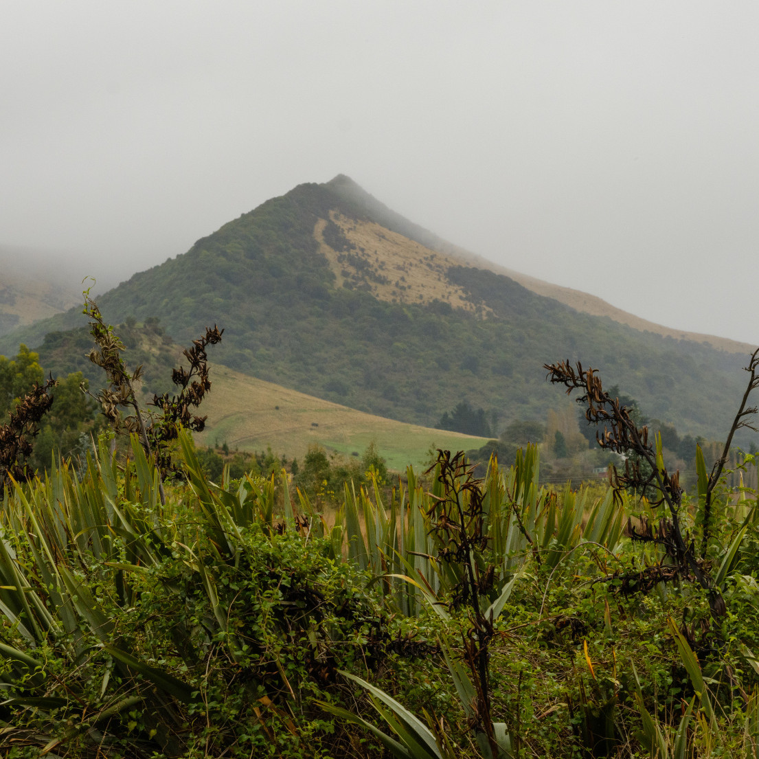 About | Gore Health Ltd | Gore Medical Services